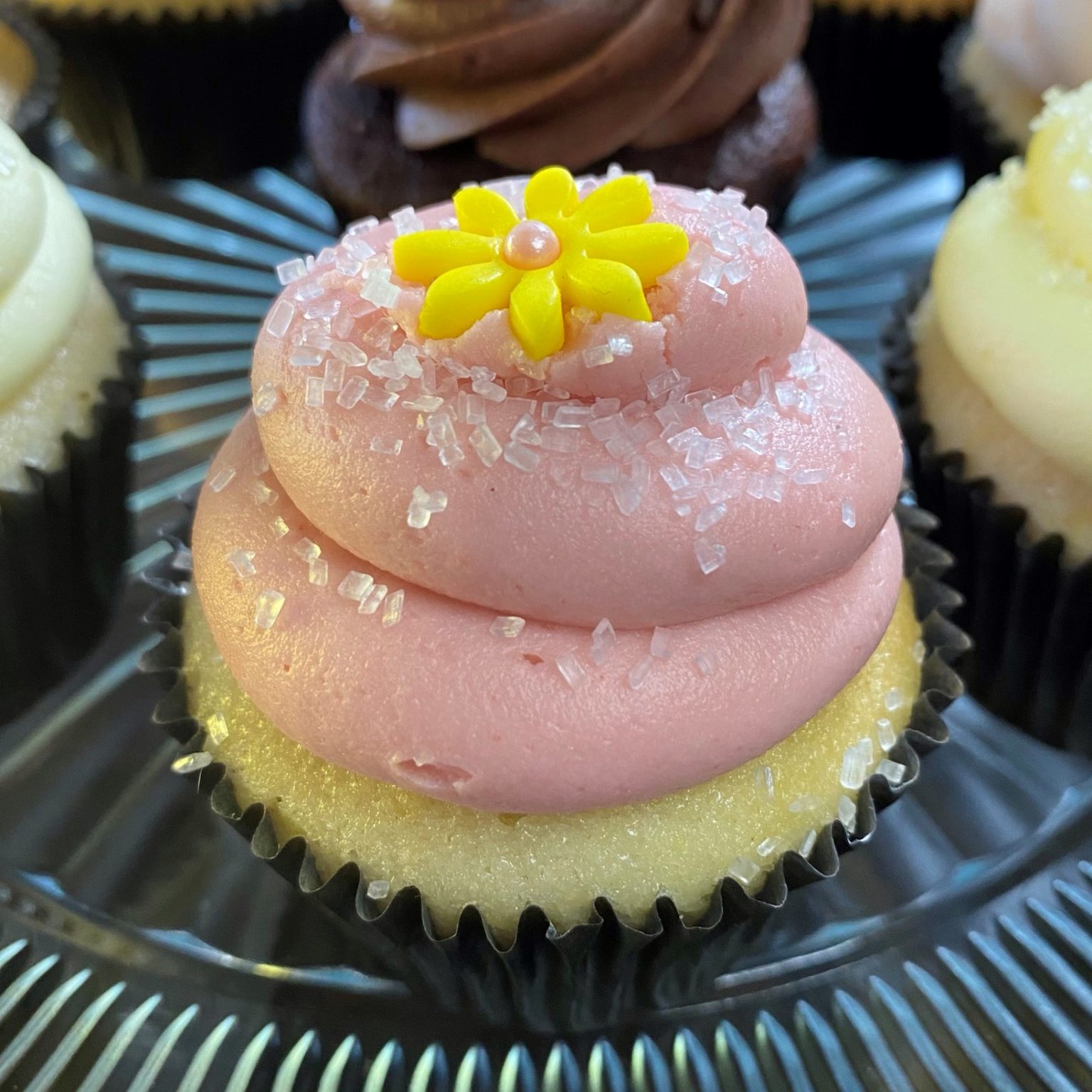 What’s Good in AZ: Frosted Frenzy Cupcakes – Any Second Now